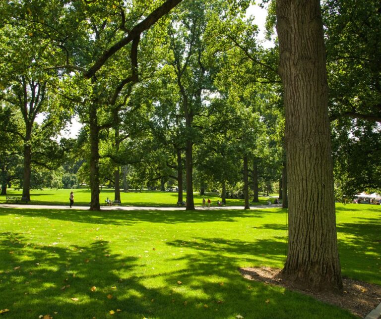 How to Do Safe Place Visualization